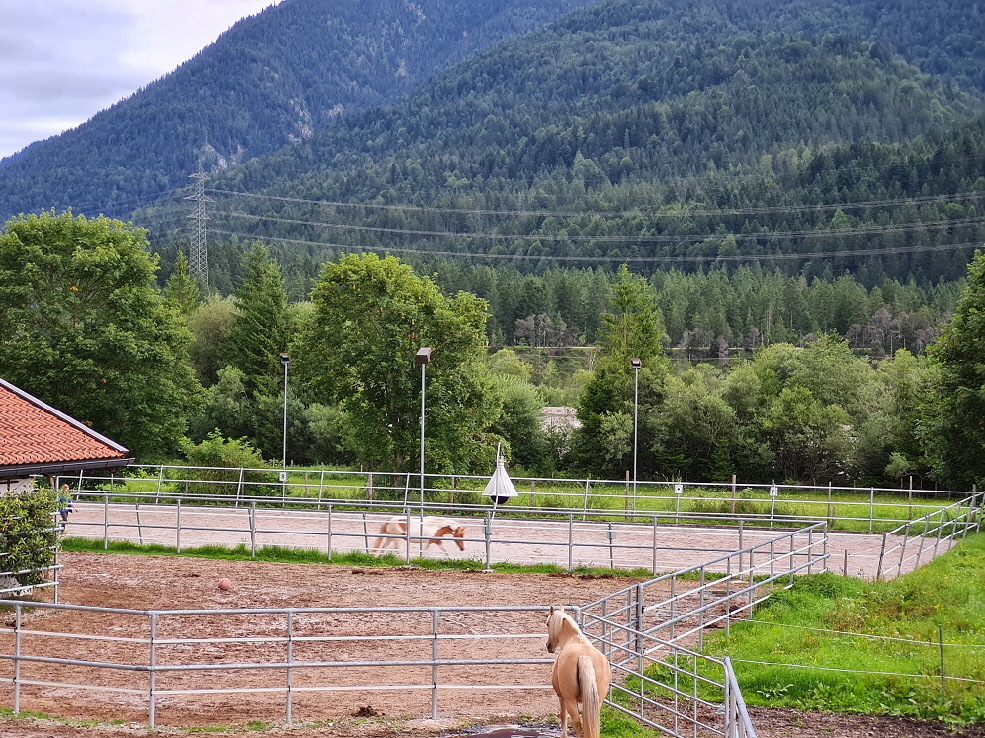 Stall "Am Reitplatz"